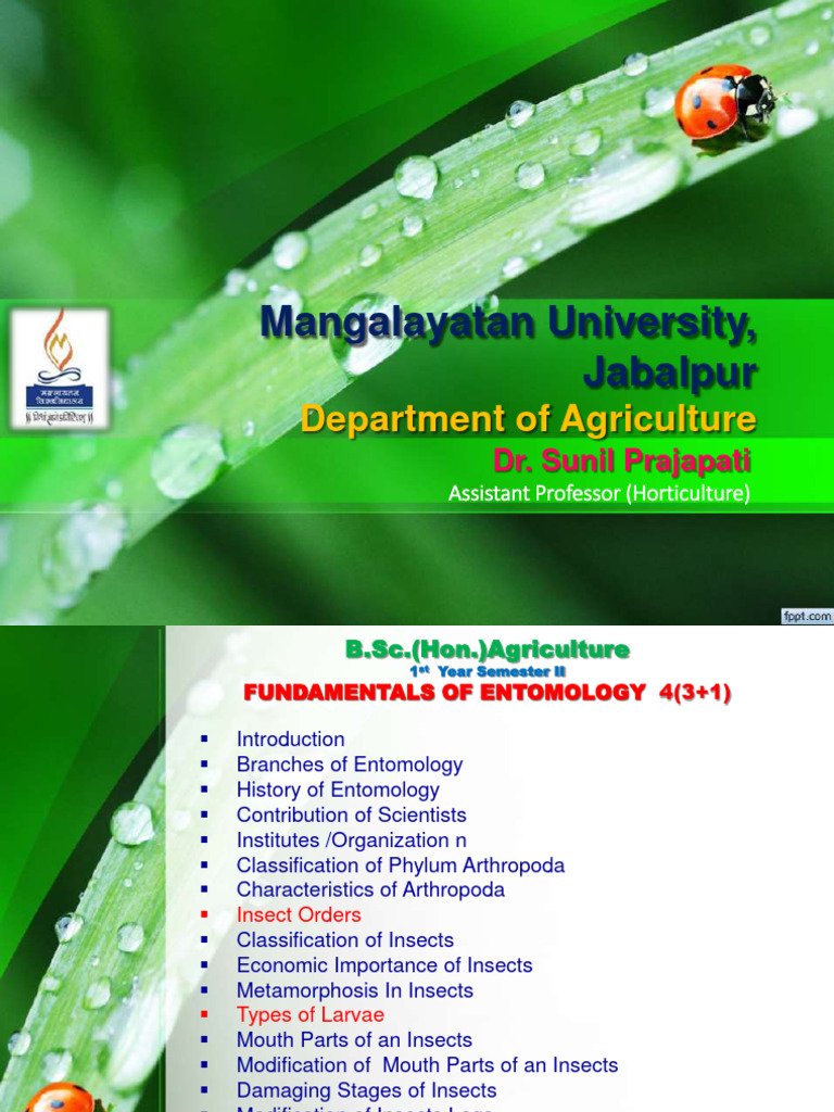 Fundamentals of Entomology Course | PDF | Insects | Pest (Organism)