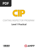 Coating Inspector Program (CIP) Training & Certification | PDF ...