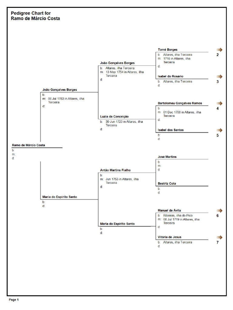 Pedigree Chart For Ramo de Márcio Costa | PDF