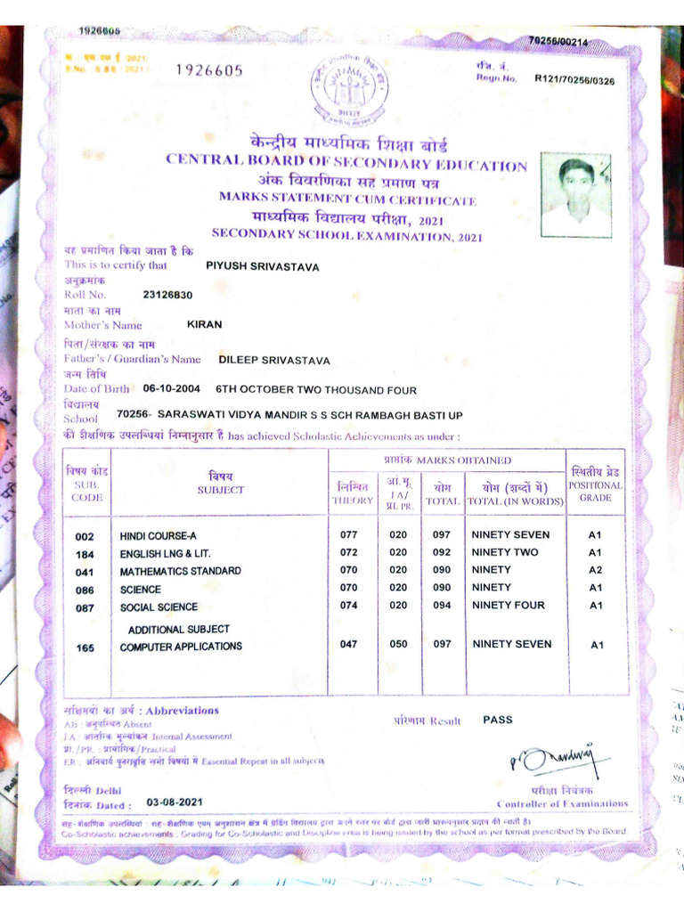 10 TH Mark Sheet | PDF