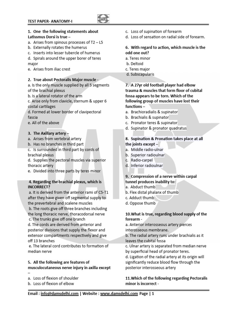 Anatomy I Test Paper Questions | PDF | Thumb | Coronary Circulation
