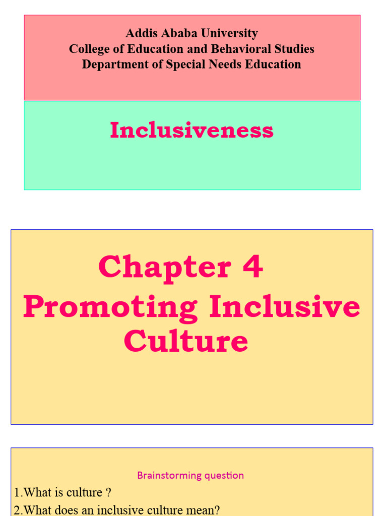 Chapter 4 - FINAL Promoting Inclusive Culture | PDF | Social Exclusion ...