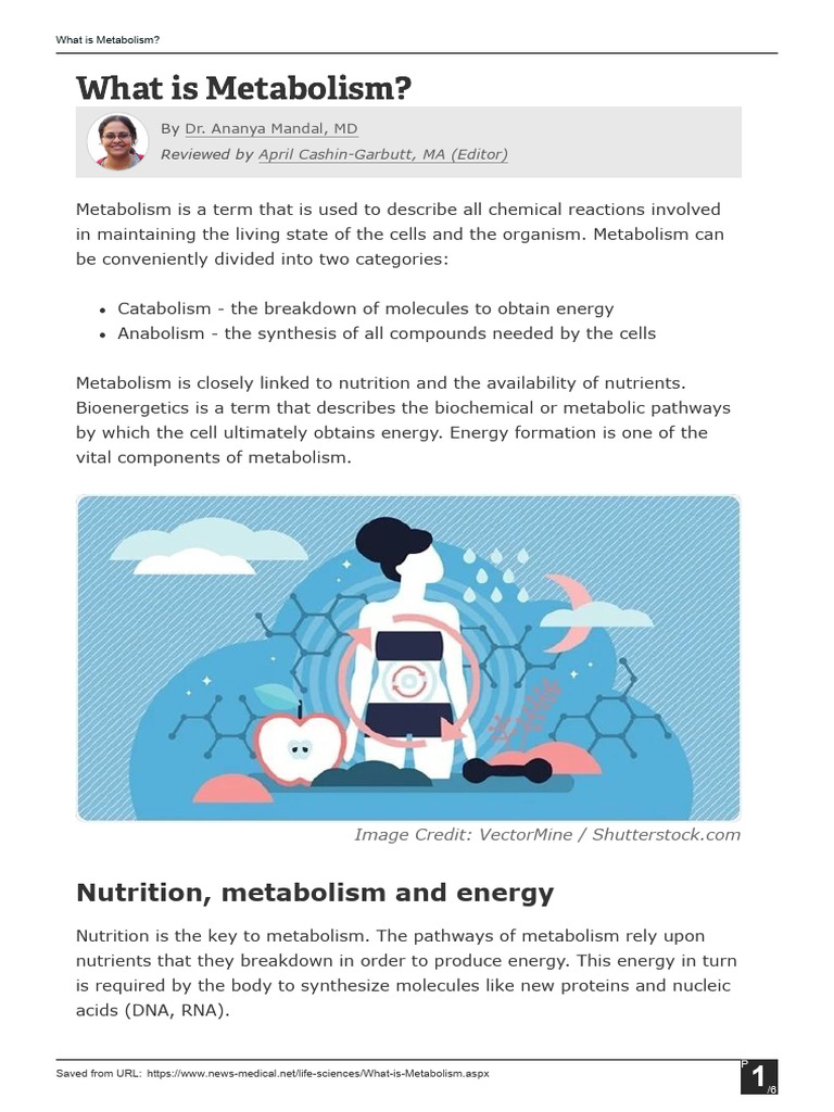 What-is-Metabolism | Download Free PDF | Metabolism | Nutrients