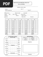 Protocolo Raven | PDF