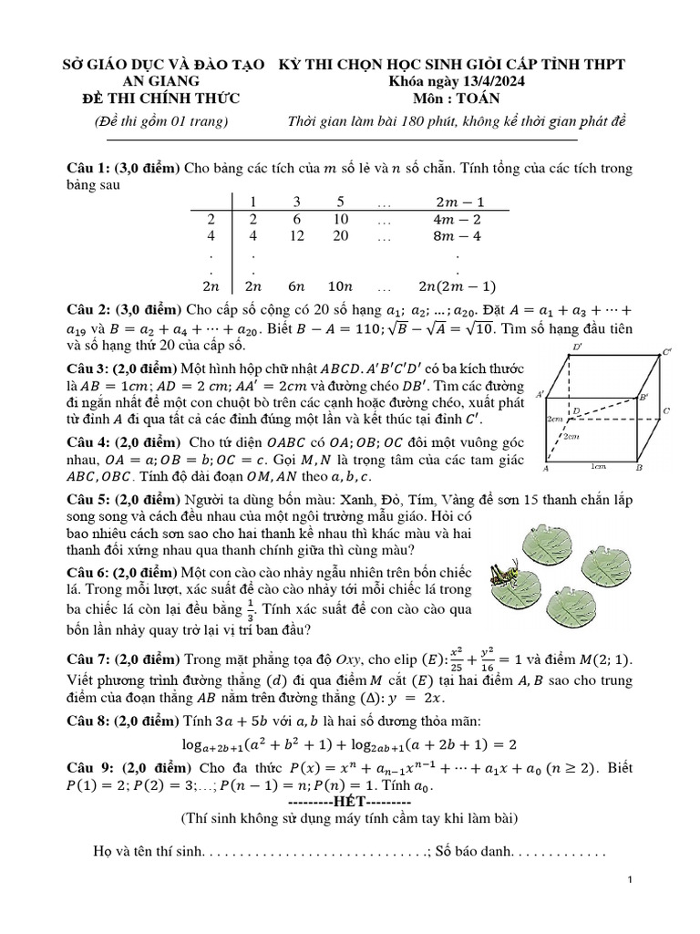 De Hoc Sinh Gioi Cap Tinh Toan THPT Nam 2023 2024 So GDDT An Giang | PDF