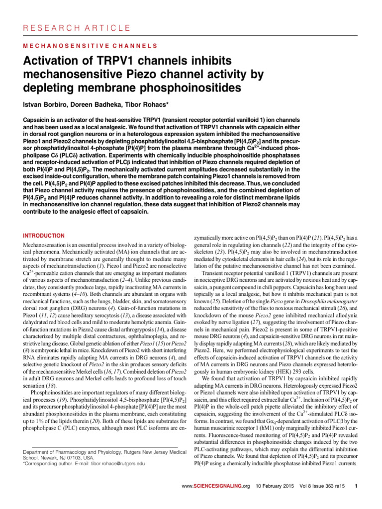 Activation of TRPV1 channels inhibits mechanosensitive Piezo channel ...