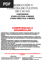 Tec Leve | PDF | Dolor de cabeza | Neurología