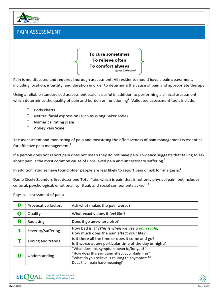 InfoSheet Pain Assessment | PDF | Pain | Pain Management
