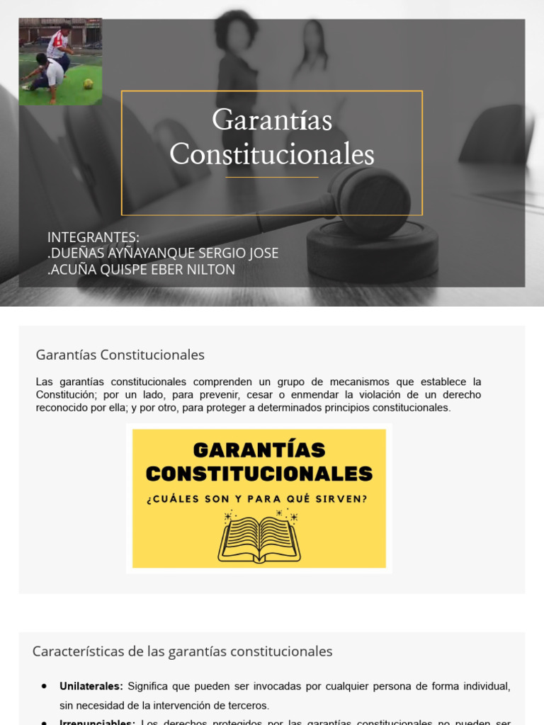 Garantias Constitucionales Pdf Derecho Constitucional Constitución