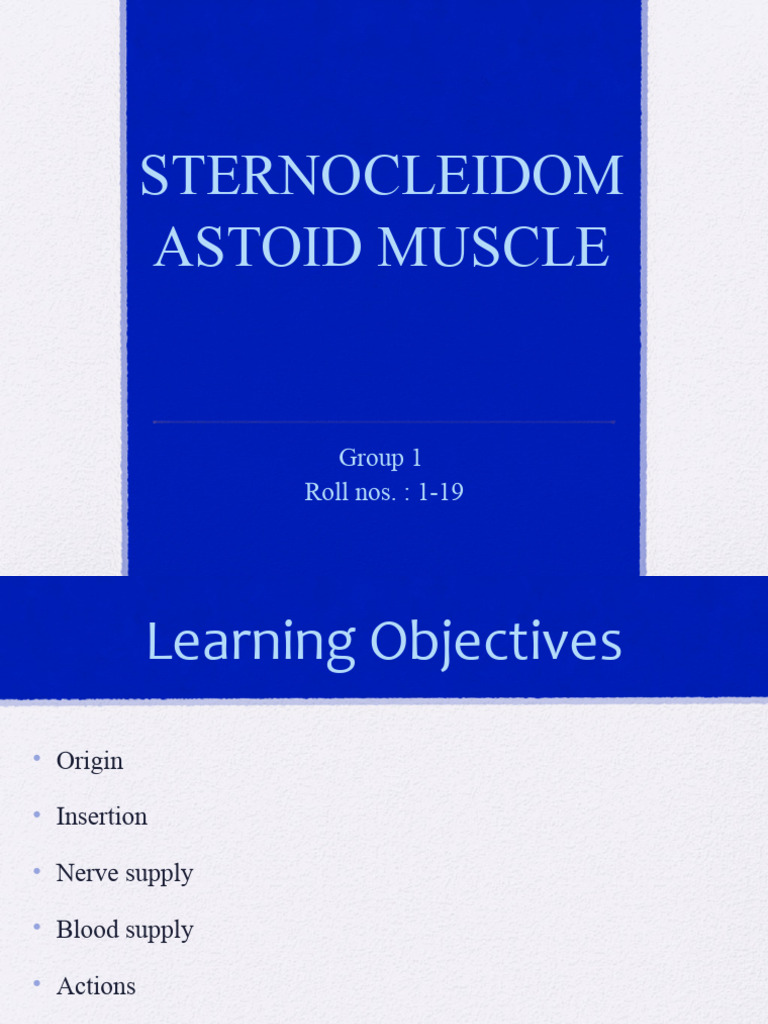 Sternocleidomastoid | PDF | Neck | Common Carotid Artery