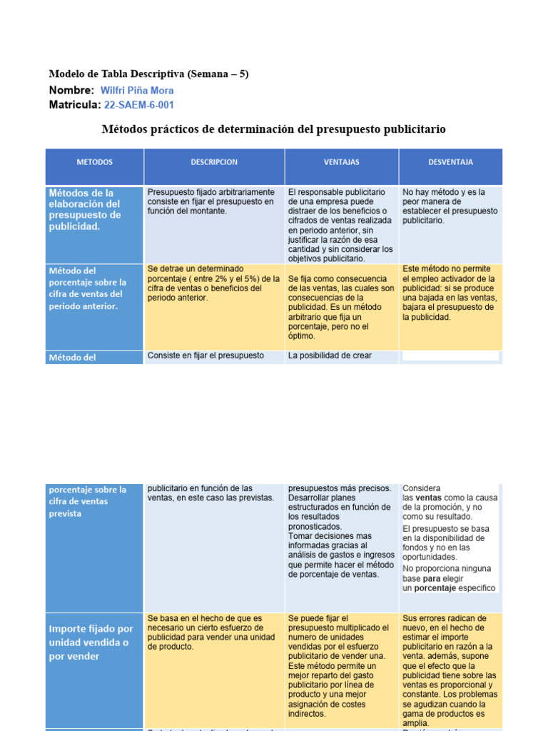 Modelo de Tabla Descriptiva Semana 5 | PDF | Presupuesto | Publicidad