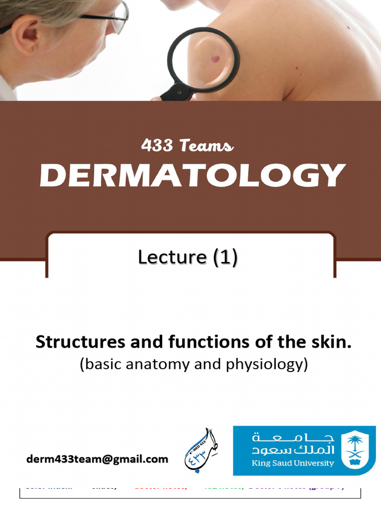 Structures and functions of the skin | Download Free PDF | Skin | Epidermis