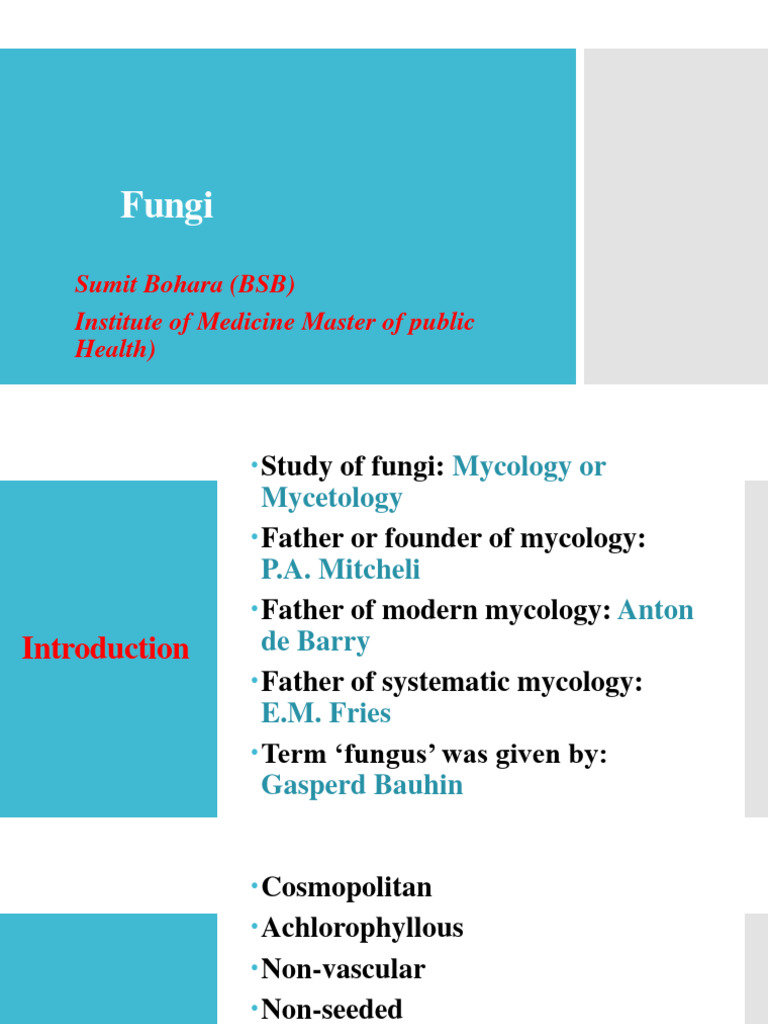 Fungi | PDF | Fungus | Sexual Reproduction