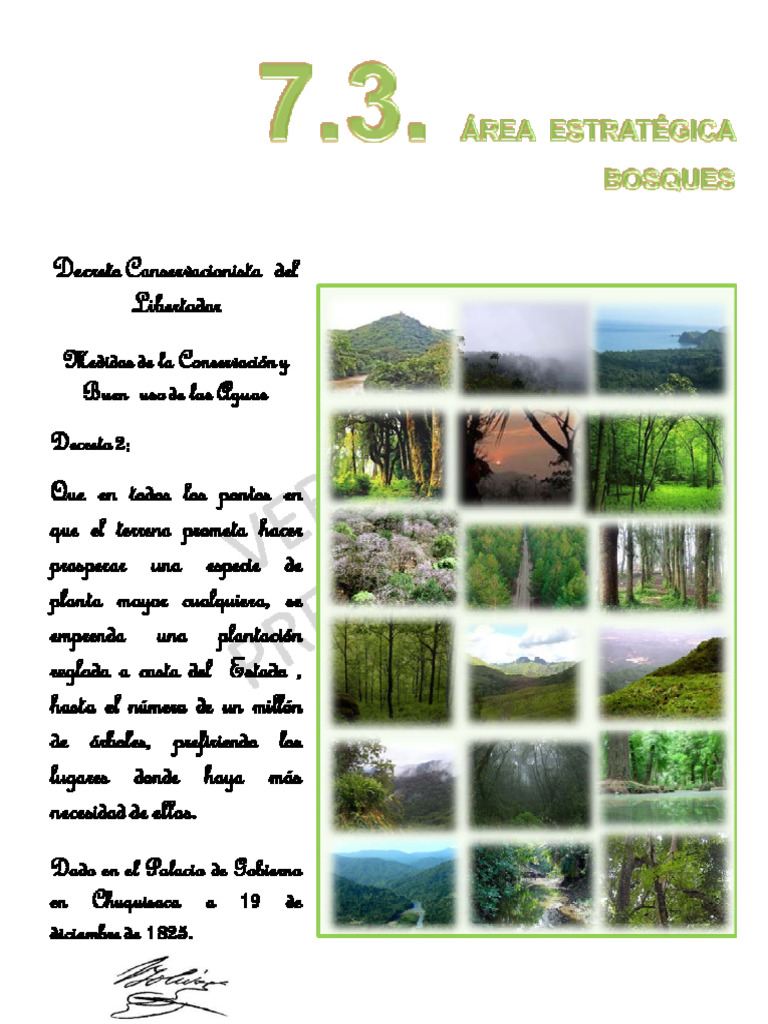 Bos Ques | PDF | Los bosques | Venezuela