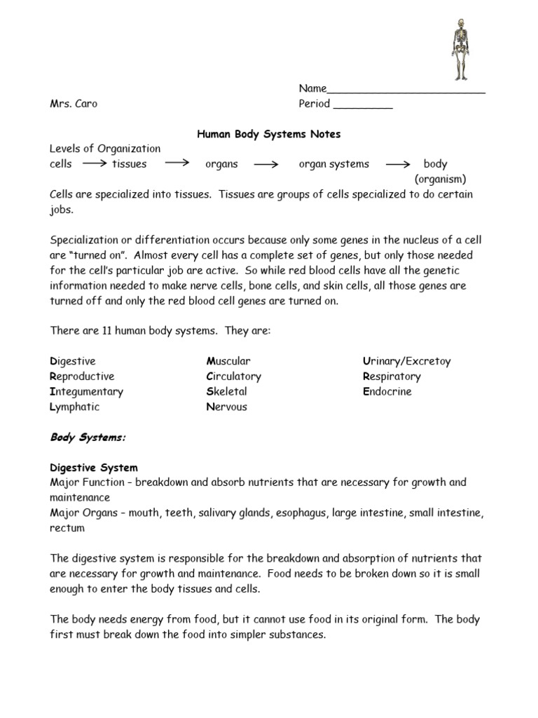 Human Body Systems Notes With All Body System Notes - Filled in | PDF ...