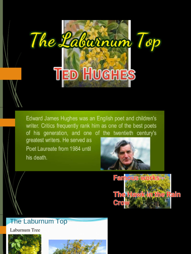 Presentationthe Laburnum Top | PDF