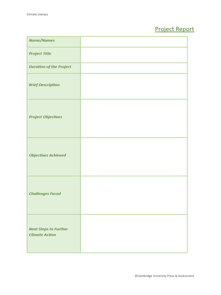 Project Self-Evaluation Rubrics | PDF | Business | Art
