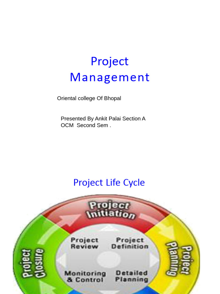 Project Life Cycle | PDF | Project Management | Business