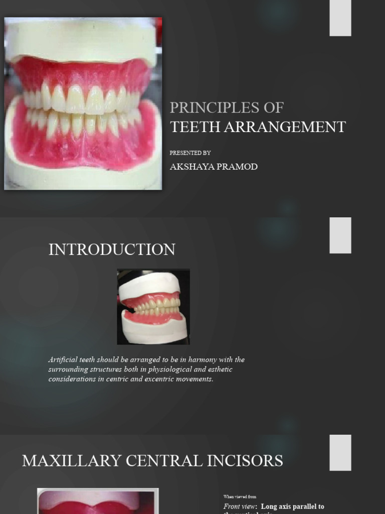 Principle of Teeth Arrangement (1) - 1 | PDF | Mouth | Dental Anatomy