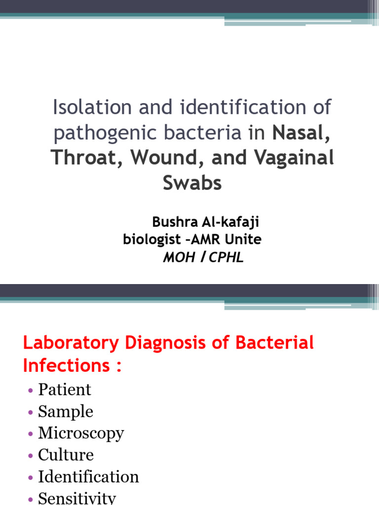 Isolation And Identification Pdf Streptococcus Infection