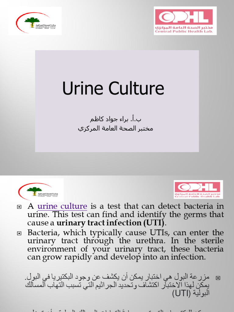 Urine | Download Free PDF | Urinary Tract Infection | Microbiology