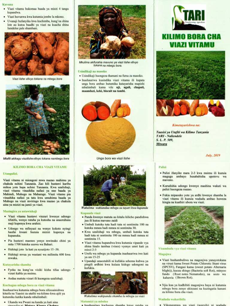 Viazi Vitamu | PDF