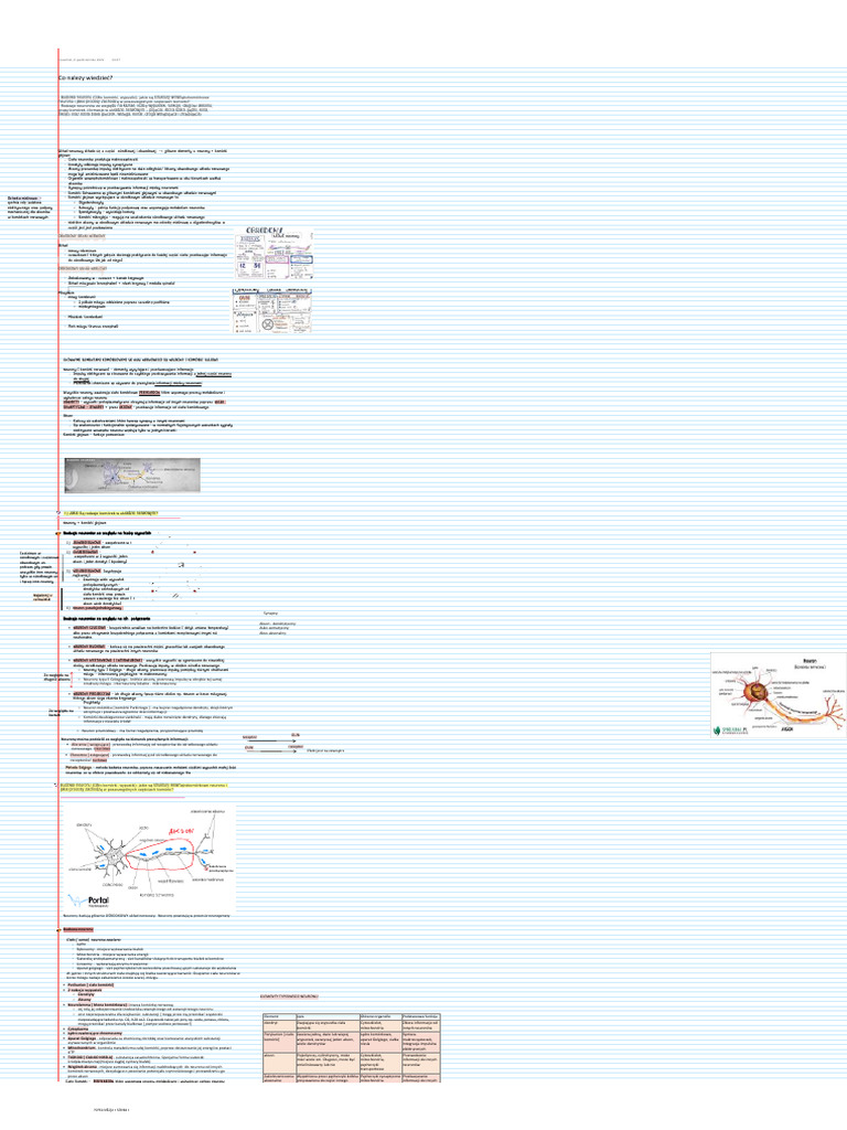 Cw Pdf