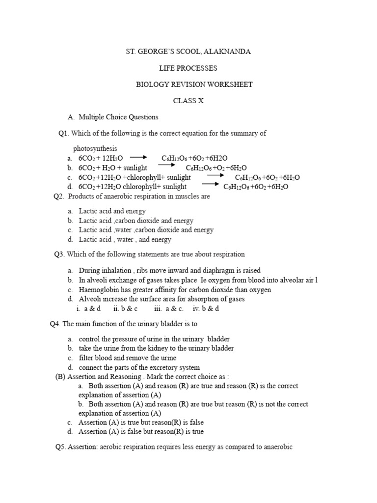 BIOLOGY Holiday Homework Worksheet | PDF | Respiratory System | Heart