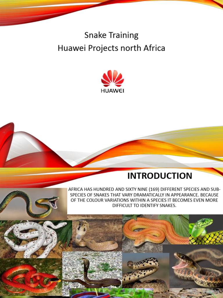 Snake Training | PDF | Snake | Venom