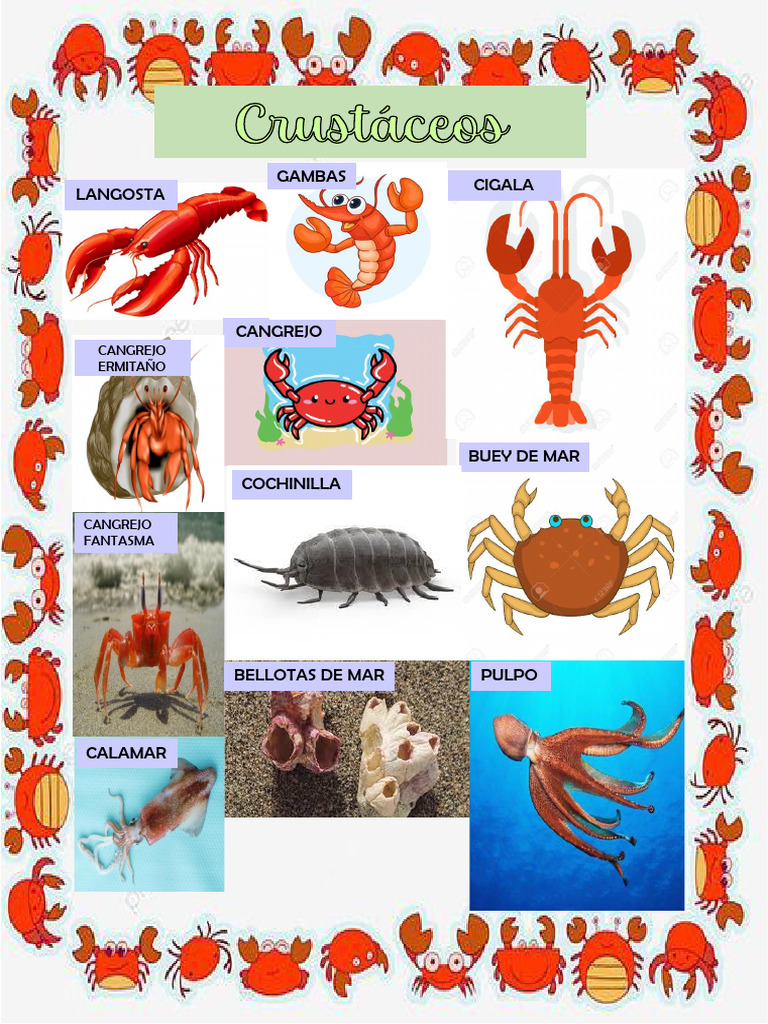 Ejemplos de Crustáceos y Nombres | PDF | Cocina, comidas y vino