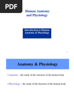 Sehemu Za Mwili Kiswahili English | PDF