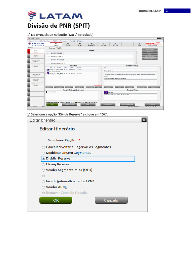 Tutorial Divisão PNR | PDF | História