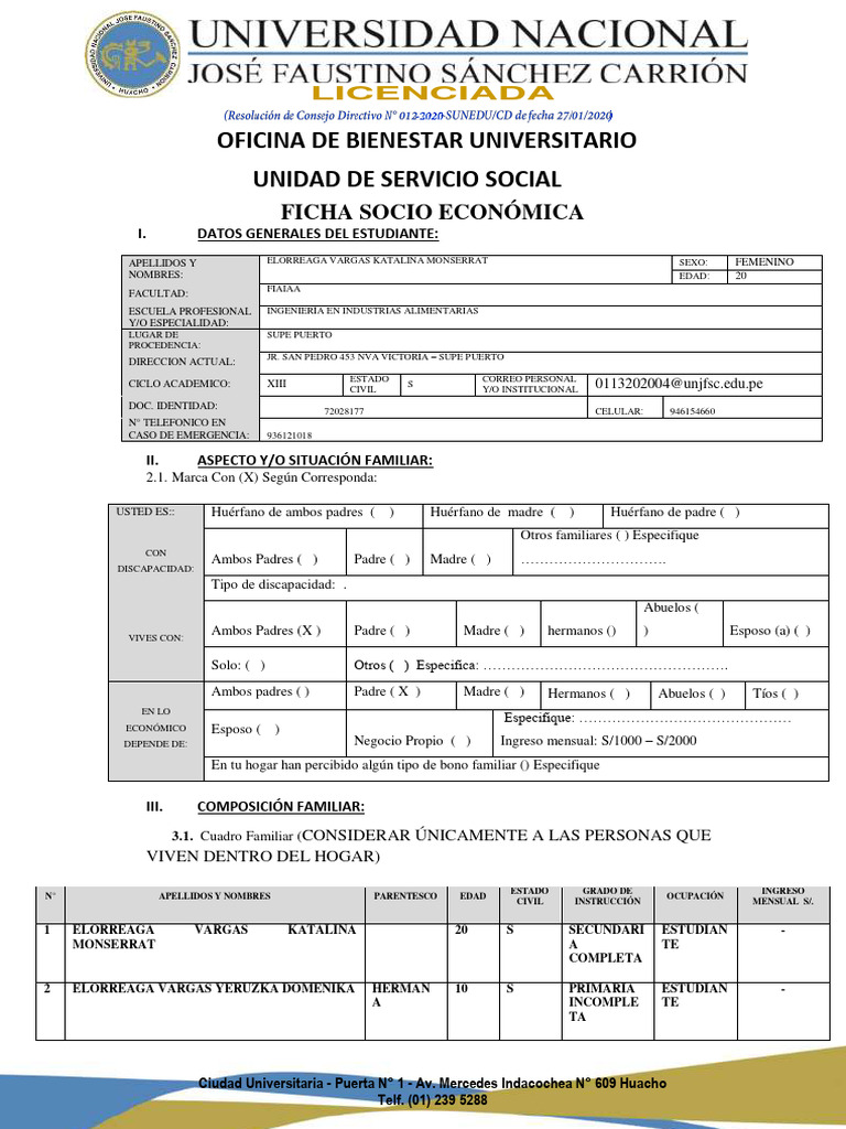 FORMATO DE FICHA SOCIOECONOMICA ACTUALIZADA 2024 KMEV | PDF