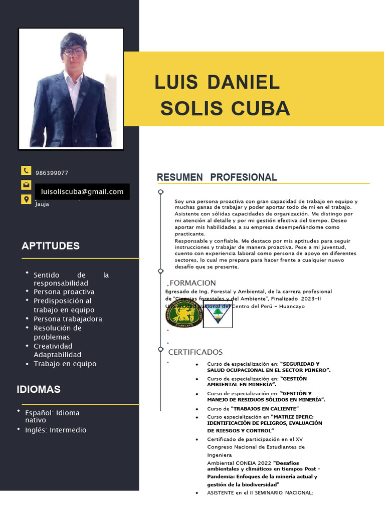 CV - Luis Daniel Solis Cuba-2024. | PDF | Seguridad y salud ocupacional | Minería
