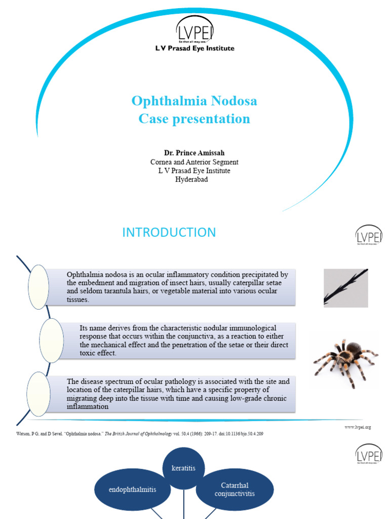 Ophthalmia Nodosa | Download Free PDF | Medical Specialties | Human Eye