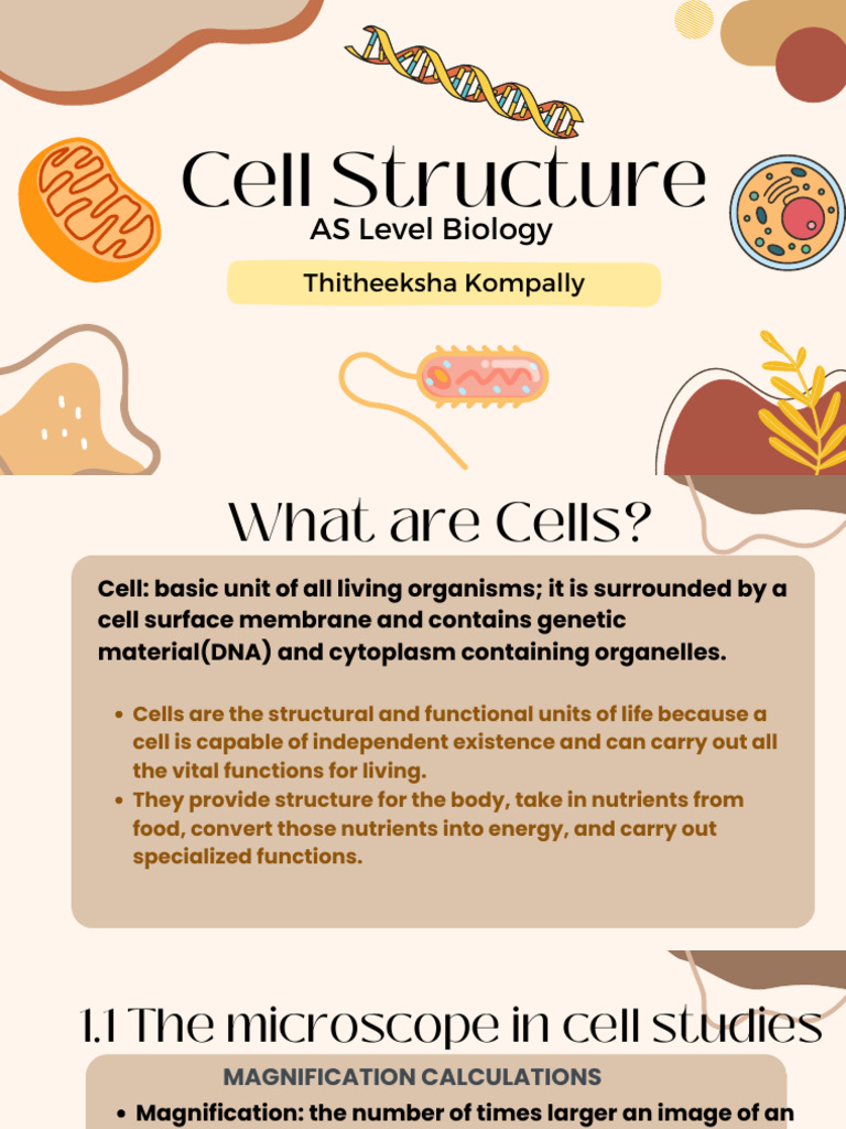 Cell Structure | PDF | Endoplasmic Reticulum | Cell (Biology)