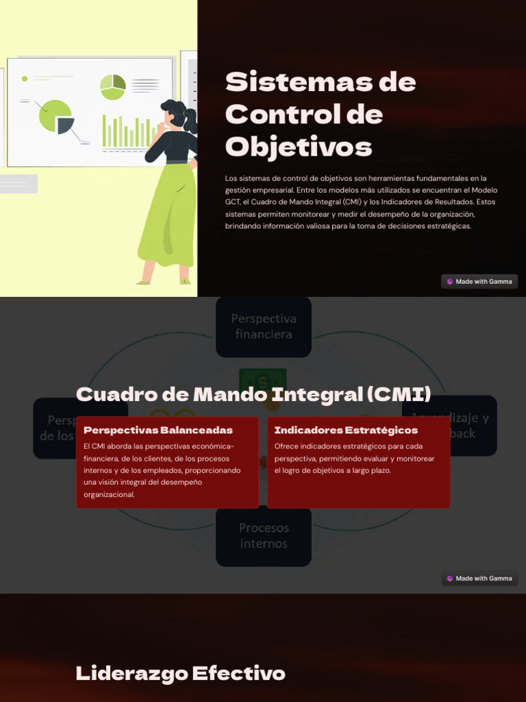 Sistemas de Control de Objetivos | PDF | Business | Economias