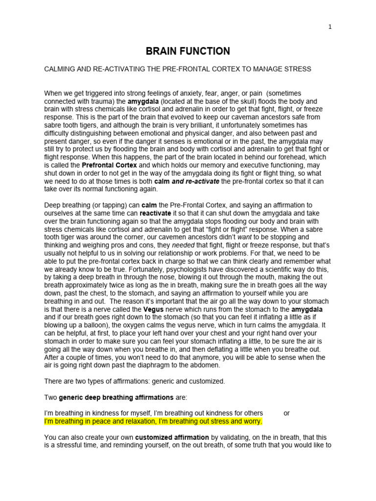 Brain Function | PDF | Breathing | Amygdala