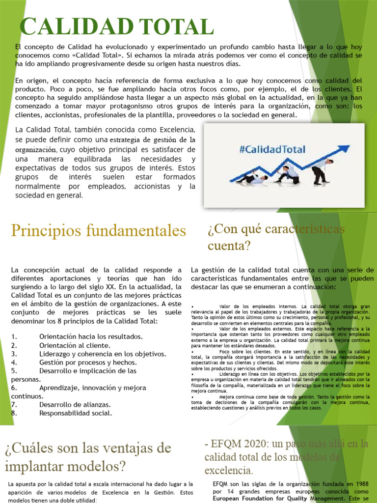 Calidad Total Diapositivas | PDF | Calidad (comercial) | Business