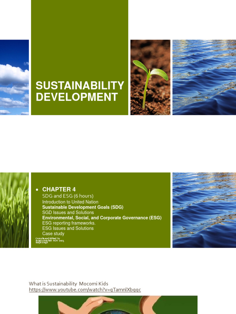 SDG and ESG: A Guide to Sustainability | PDF | Sustainability ...