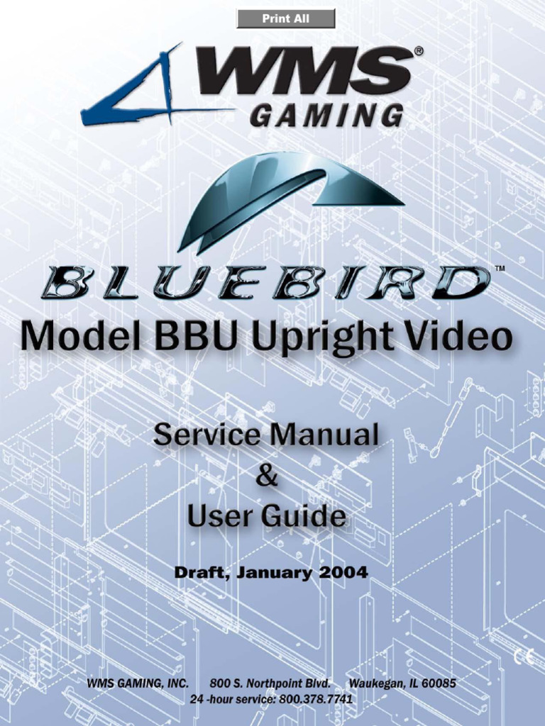 WMS Blue Bird Upright Video | PDF | Mains Electricity | Alternating Current