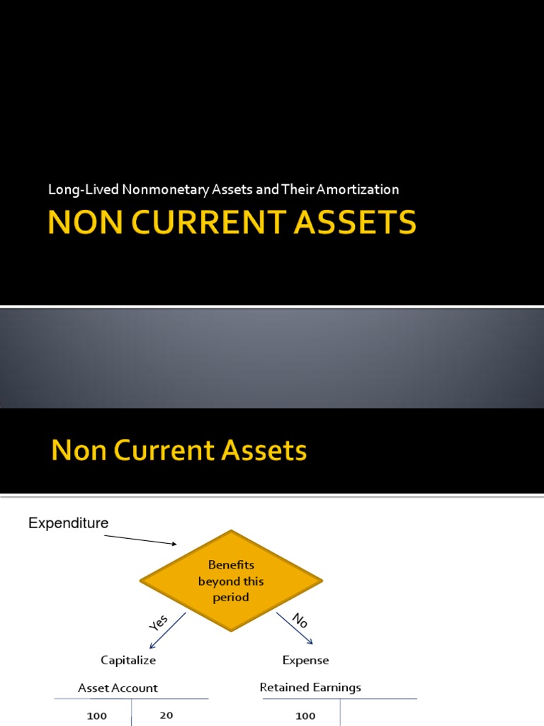 Non Current Assets | PDF | Depreciation | Book Value