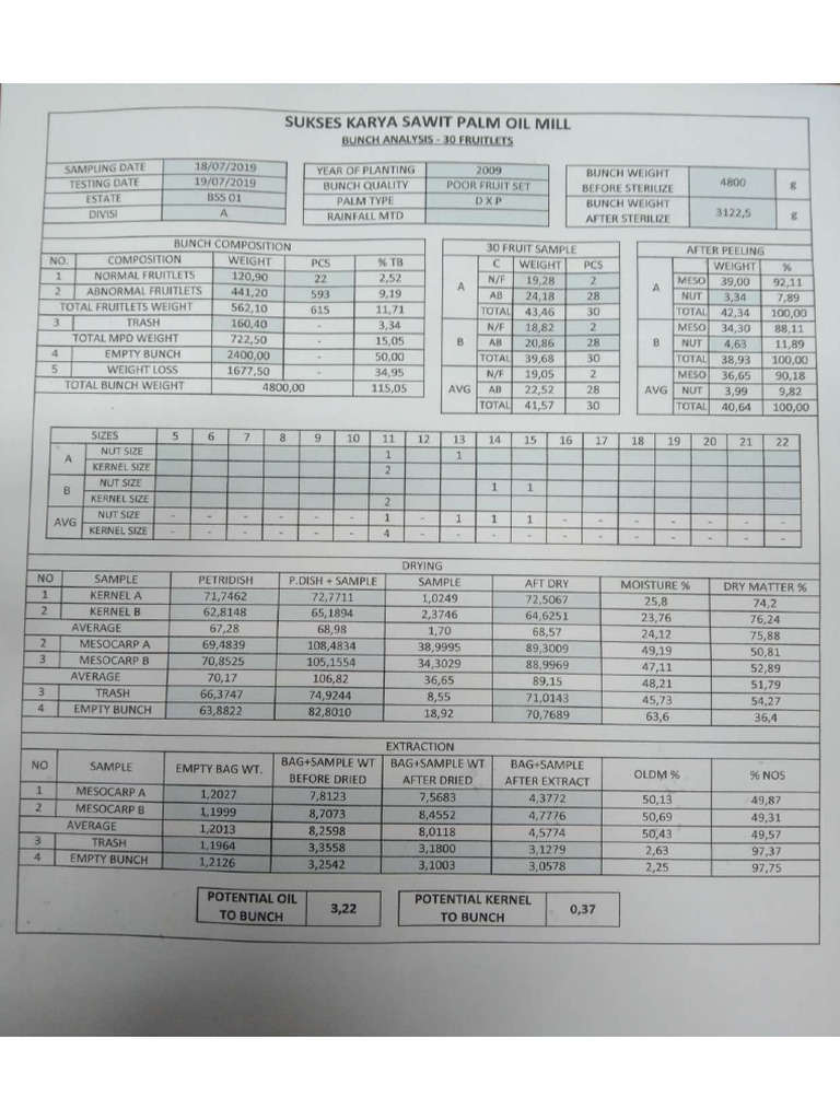 Sample Buah Poor Fruit Set | PDF