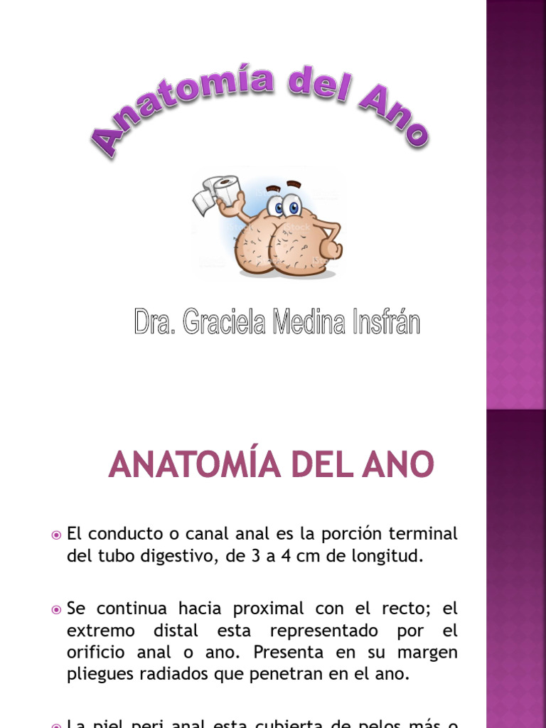 1. Anatomia Quirurgica Del Ano | Descargar gratis PDF | Hemorroides | Recto