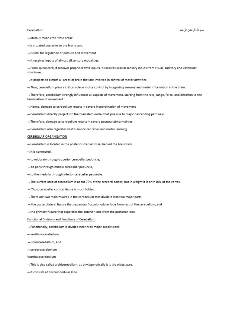 Cerebellum | PDF | Cerebellum | Brainstem