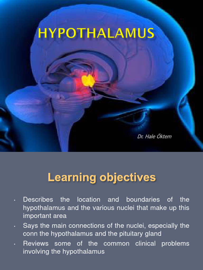 Hypothalamus | Download Free PDF | Hypothalamus | Pituitary Gland