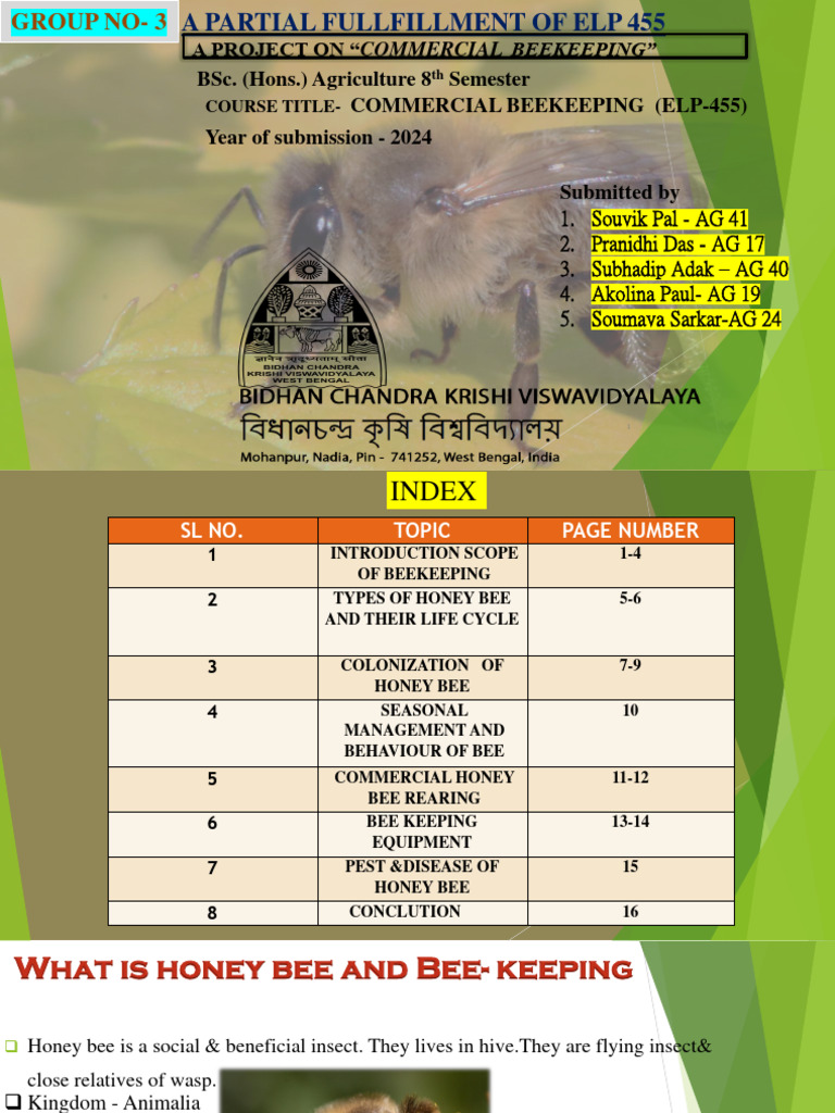 Elp -455 Commercial Bee Keeping Presentation | Download Free PDF | Honey Bee | Bees