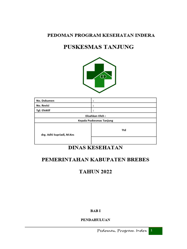 Pedoman Program Indra Salin | PDF