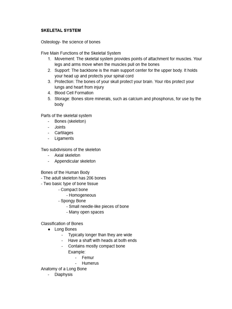 Skeletal System | PDF | Vertebral Column | Bone
