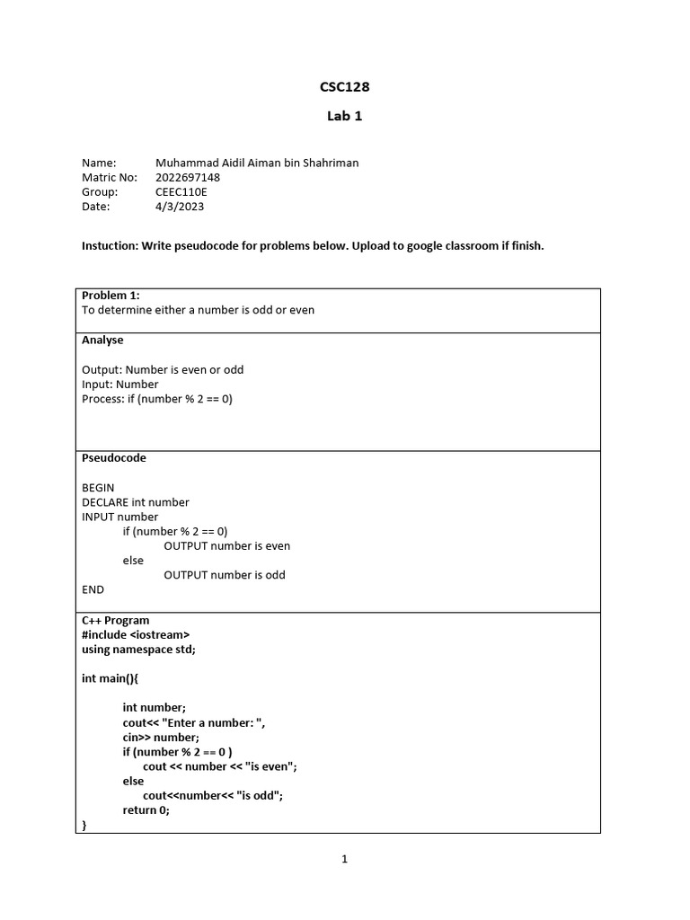 Lab1 C++ | PDF | Namespace | C++